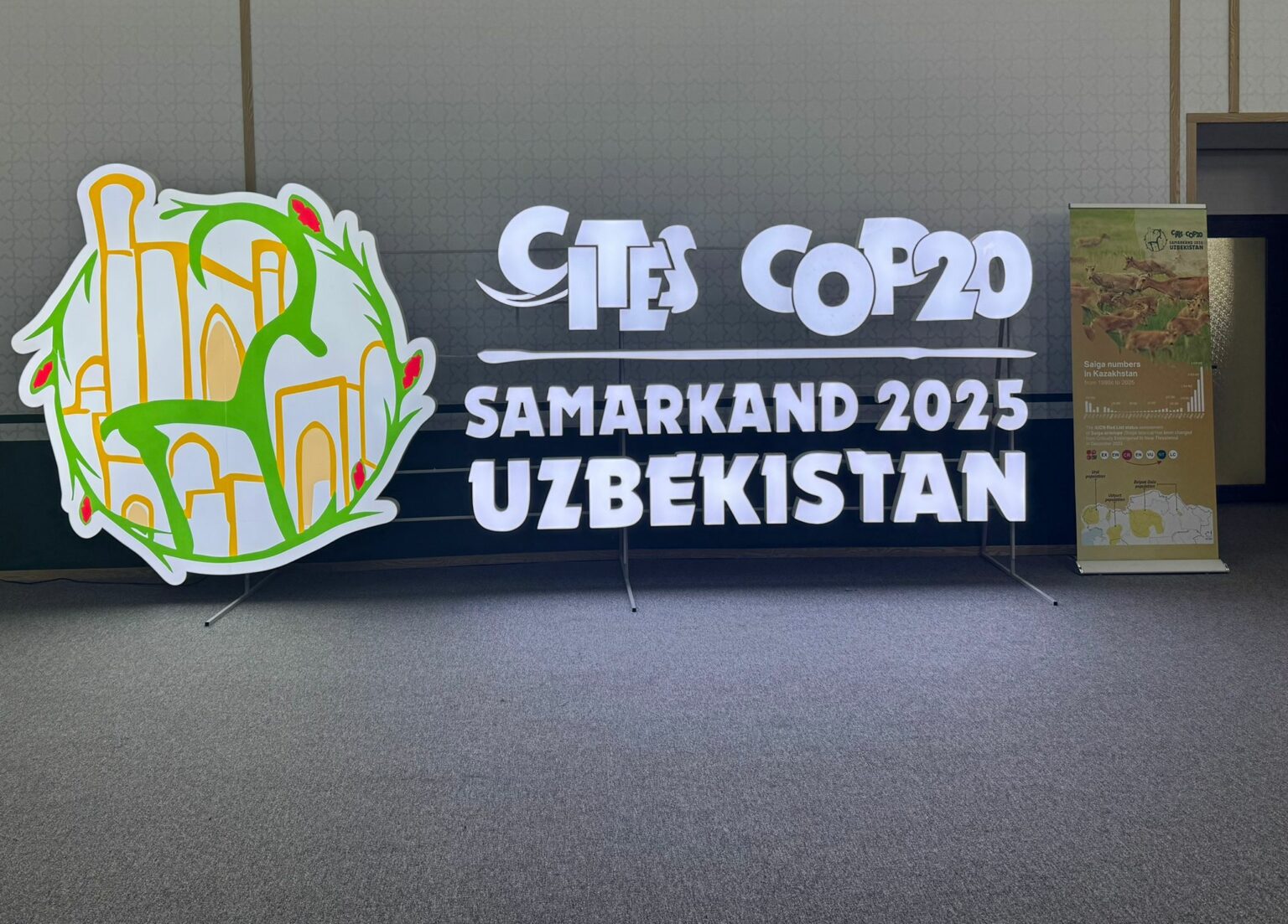CoP20 CITES 2025 : la FBB mobilisée