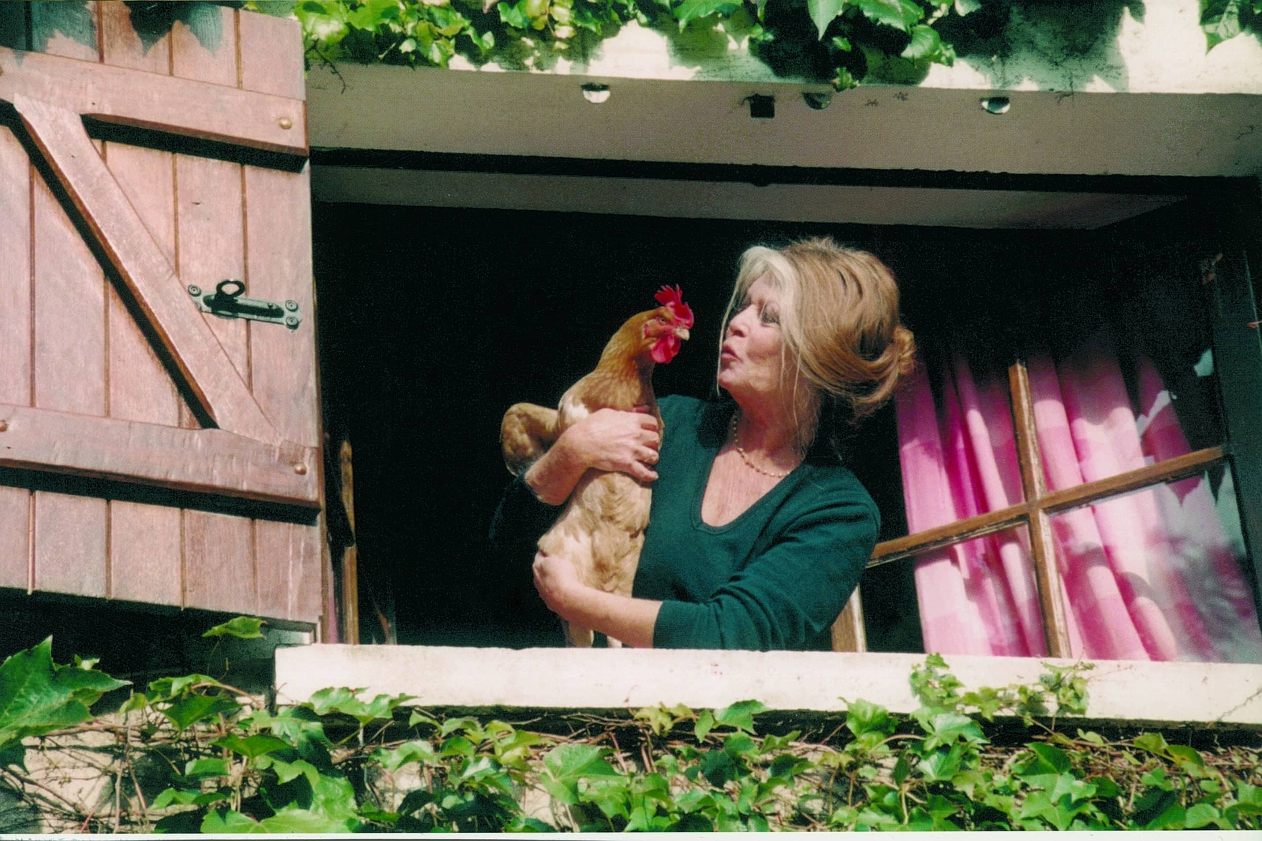 Brigitte Bardot : ma Fondation est entre des mains solides et fidèles